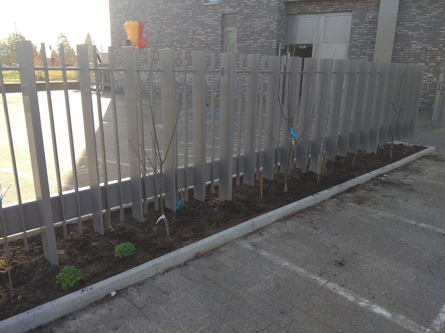 Tree planting by students - UWC Maastricht