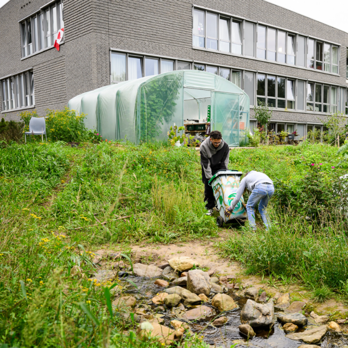 UWC Maastricht – International Education for Peace and a Sustainable Future